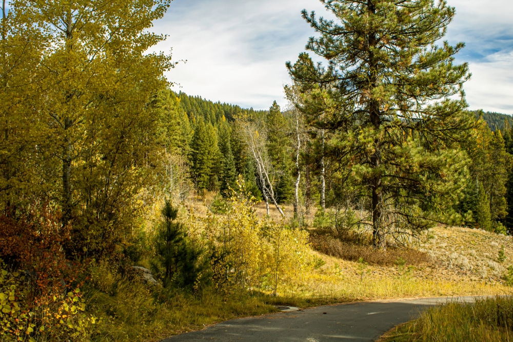 The Full Fall Guide to McCall, Idaho - Done Right Management